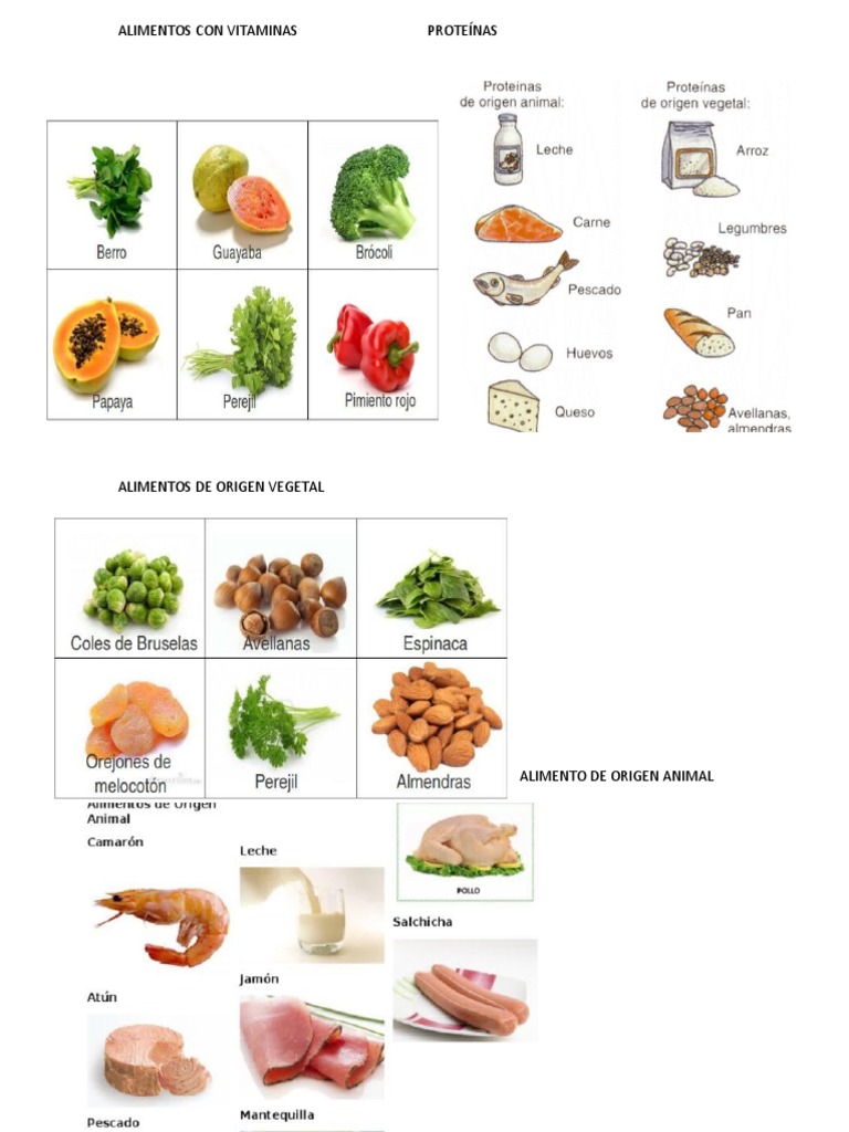 Alimentos Con Vitaminas Proteínas | PDF