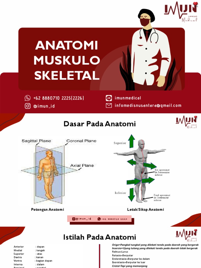 Panduan Anatomi Muskuloskeletal | PDF | Sains & Matematika