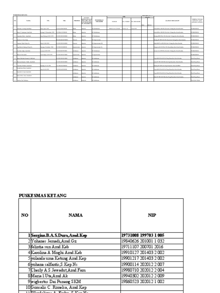Data Tenaga Kesehatan Puskesmas Ketang | PDF