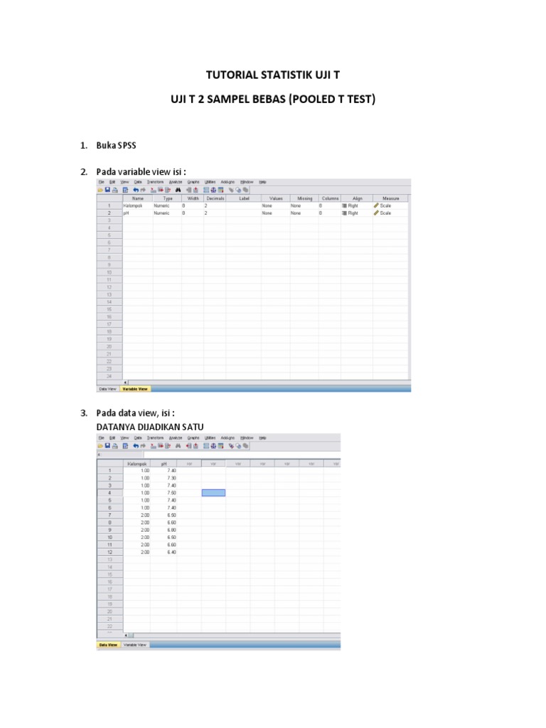 Tutorial Pooled T Test SPSS | PDF