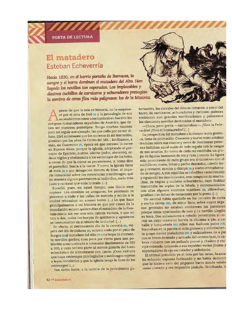 El Matadero de Esteban Echeverría (Manual) | PDF