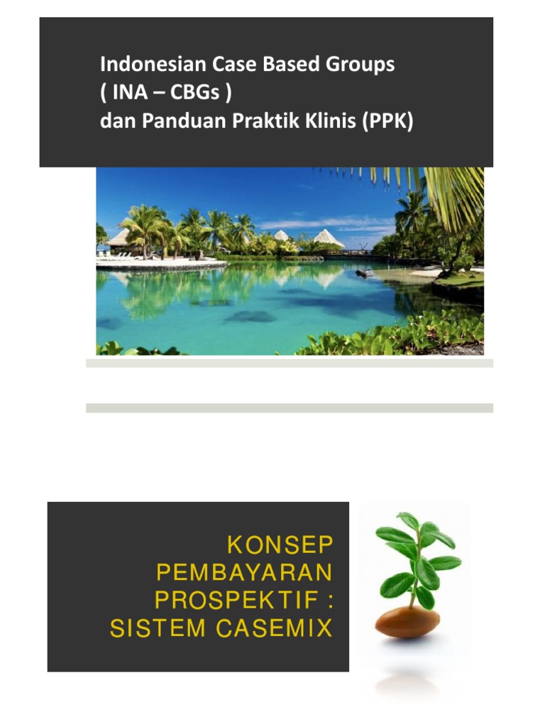 INA CBGs Dan PPK7.ppt (Compatibility Mode) | PDF | Fee For Service ...