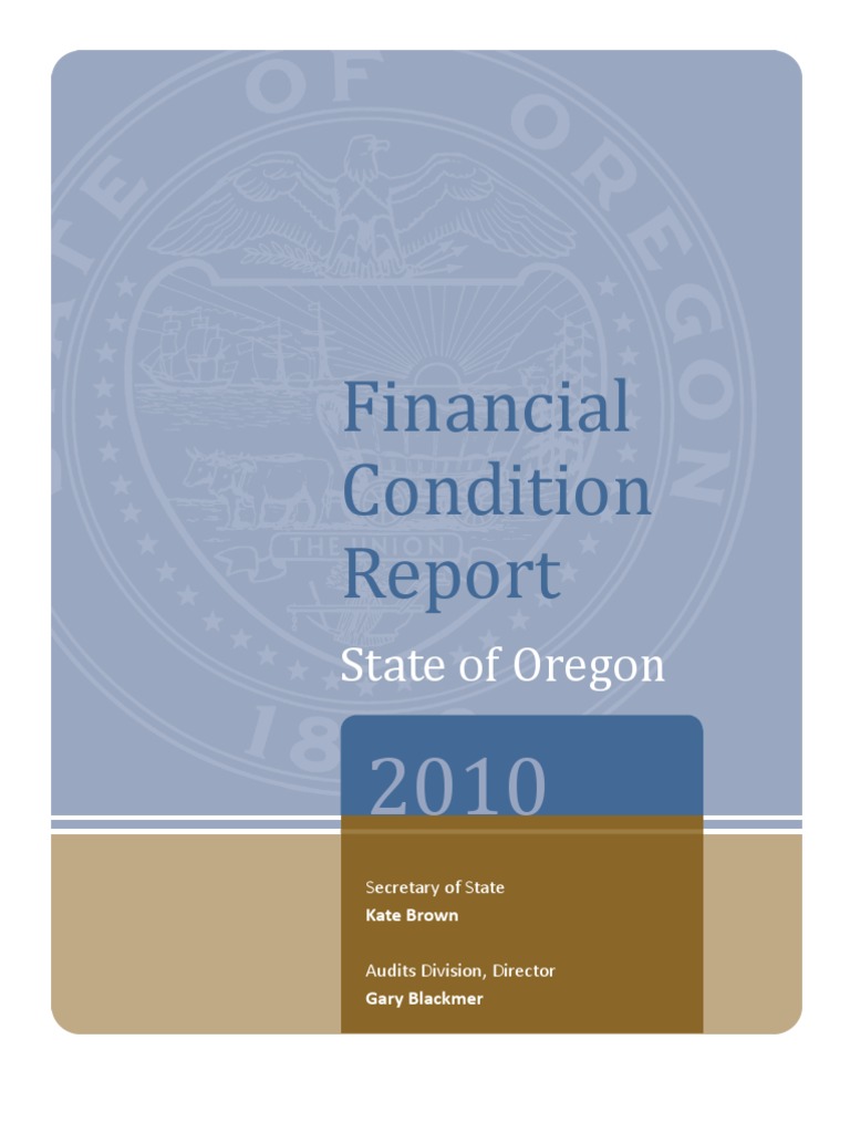 Financial Condition Report | PDF | Fund Accounting | Debt