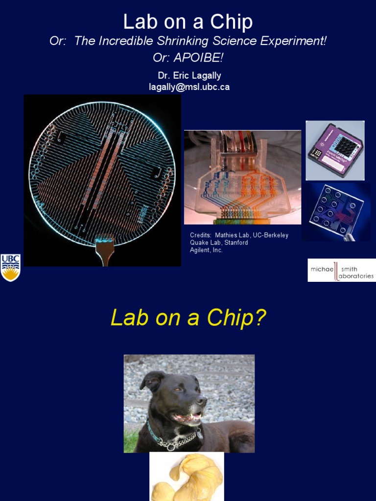Lab On A Chip: Or: The Incredible Shrinking Science Experiment! Or ...