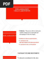 Lyphochek Assayed Chemistry Control Levels 1 and 2 | PDF | Magnesium ...
