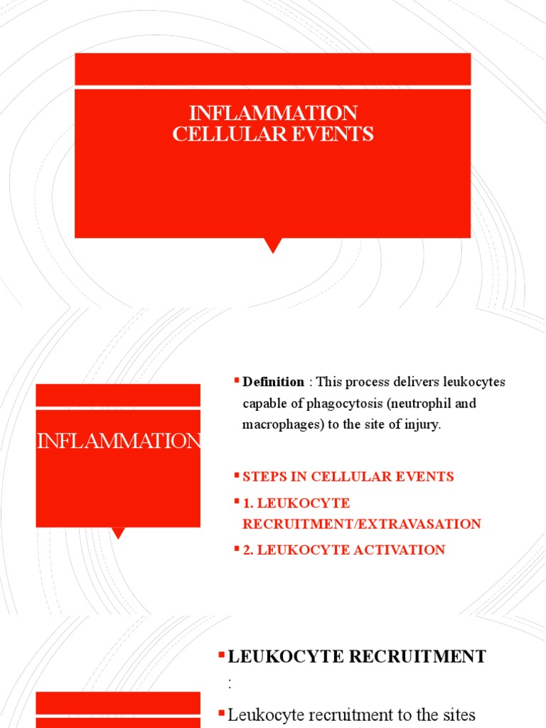 Inflammation Cellular Events | PDF | Endothelium | Inflammation