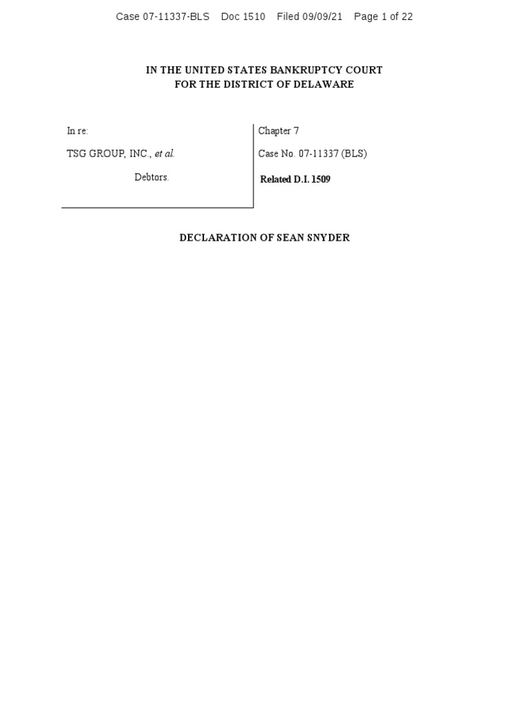 Declaration by Sean Snyder | PDF | Assignment (Law)