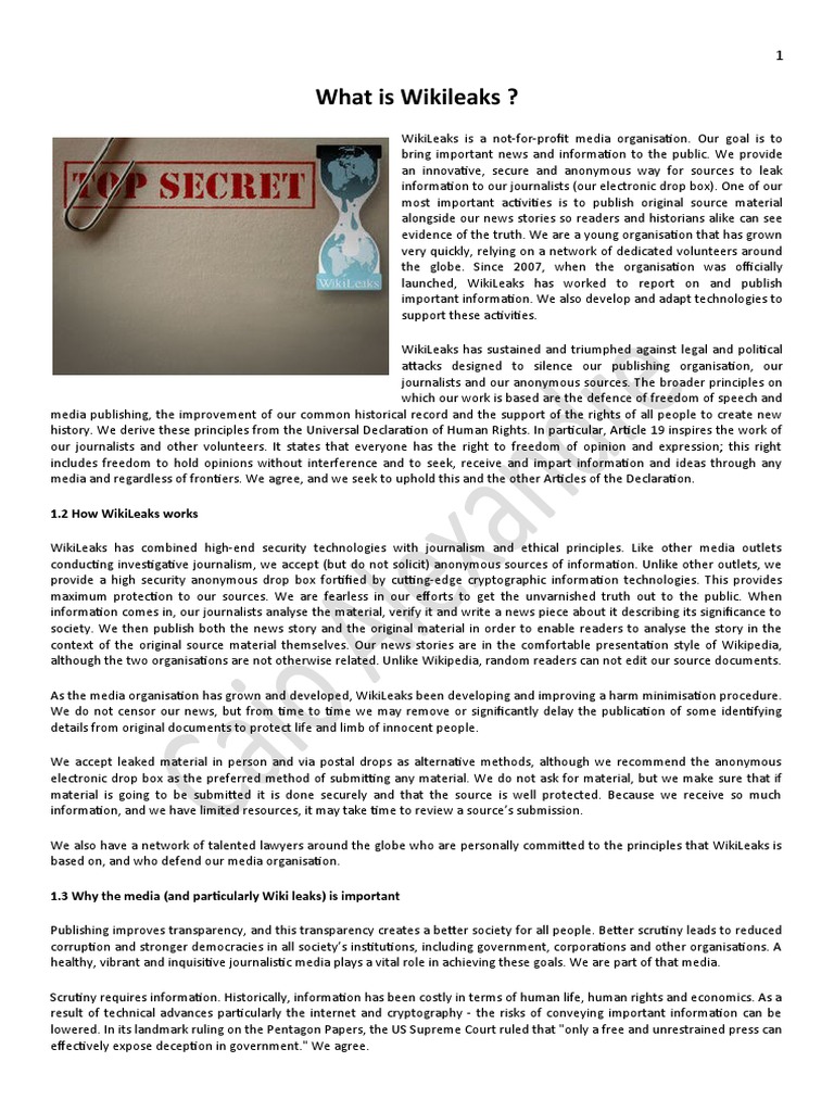 What Is Wikileaks ? | PDF | Wiki Leaks | Journalism