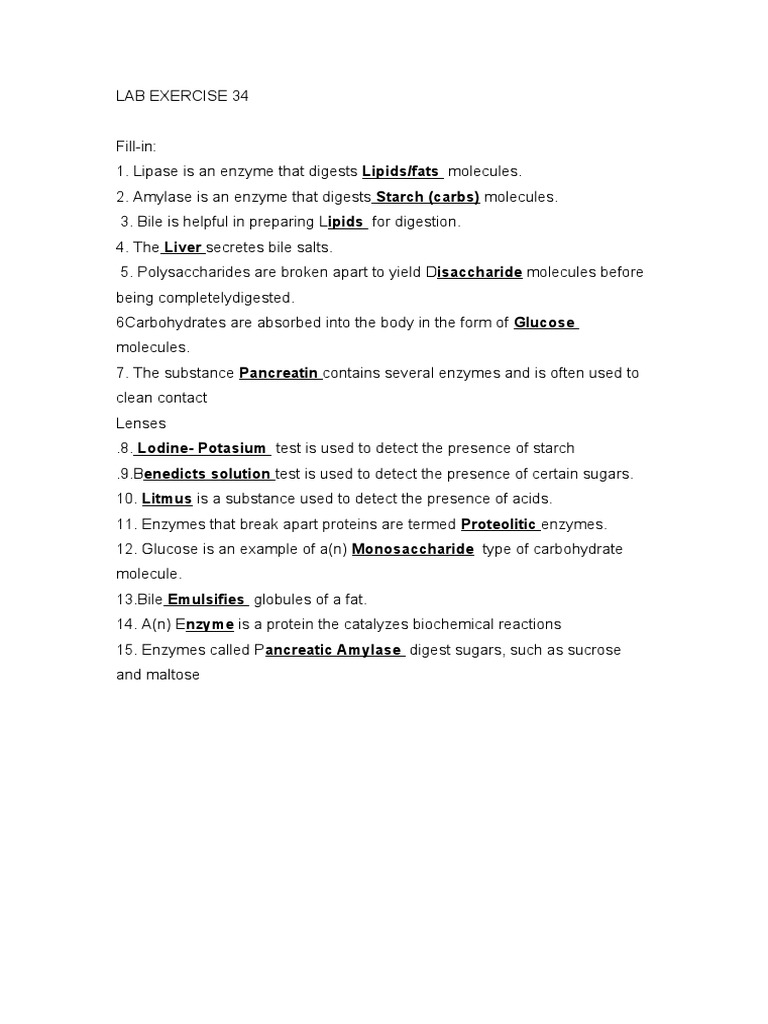 LAB EXERCISE 34 - Enzyme and Digestion | PDF