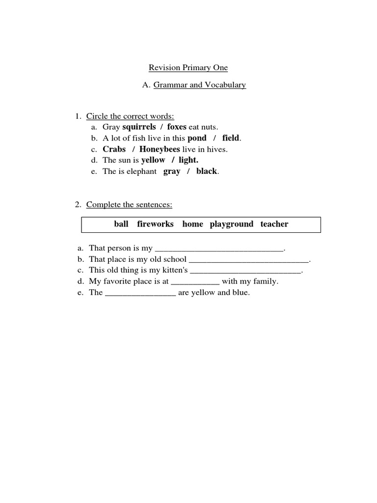 Revision For Primary One | PDF