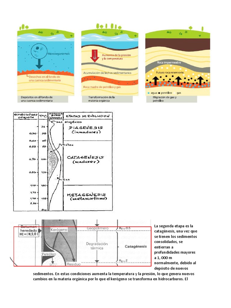 La Segunda Etapa Es La Catagénesis | PDF | Gases | Hidrocarburos
