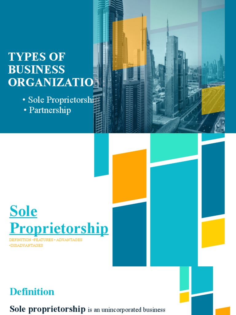 Types of Business Organization: Sole Proprietorships and Partnerships ...