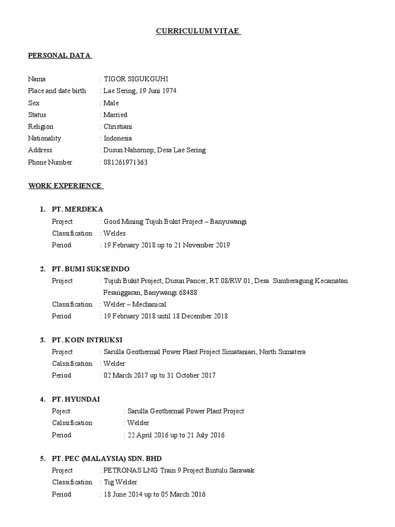 Curriculum Vitae: Personal Data | PDF | Science & Mathematics