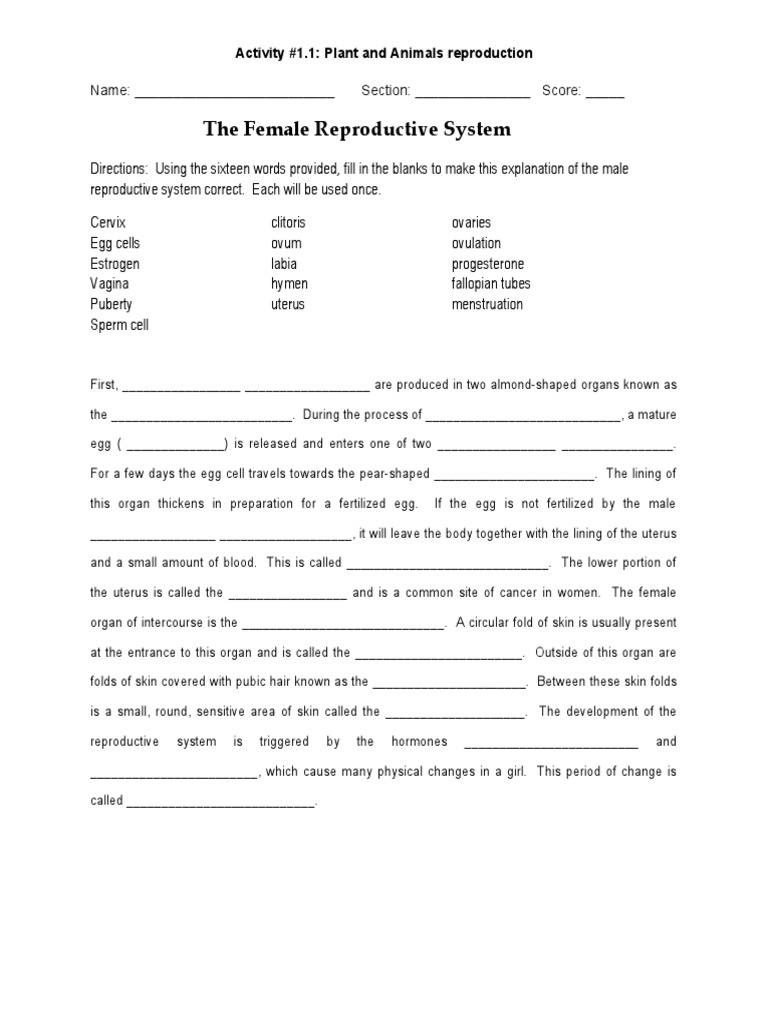 Week 2-Activity 1-1-Reproductive System | PDF | Menstrual Cycle ...