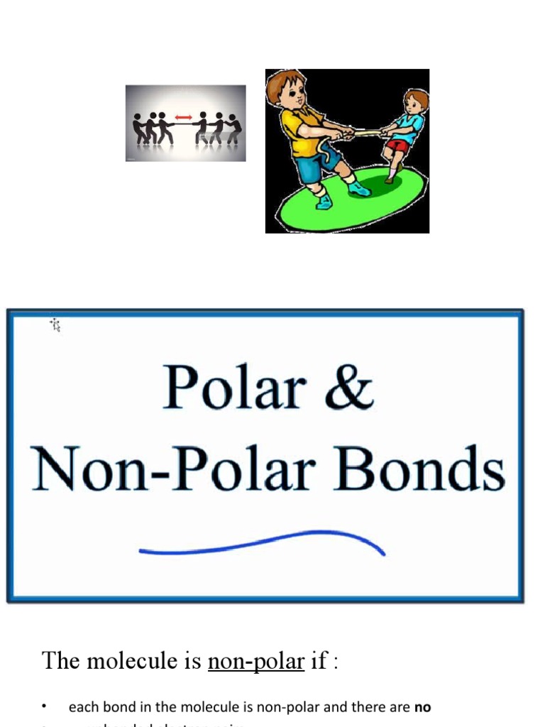 Polar vs Nonpolar Molecule Differences | PDF