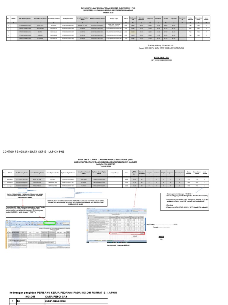 Format e - Lapkin SDN 026 Padang Mutung | PDF