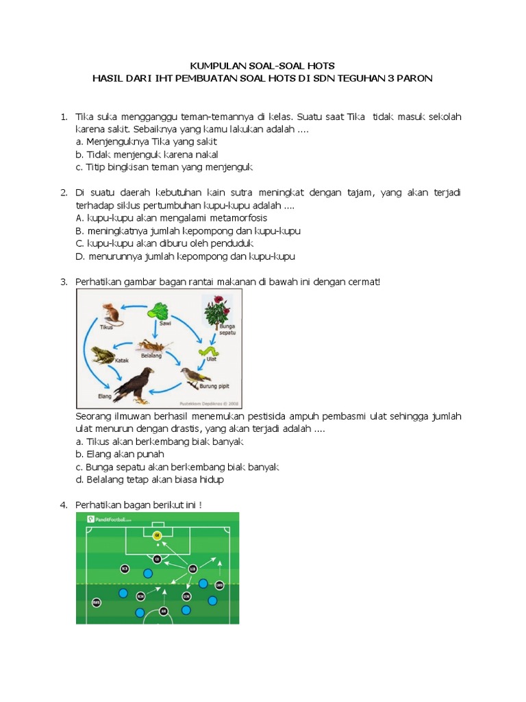 Kumpulan Soal HOTS untuk SD | PDF