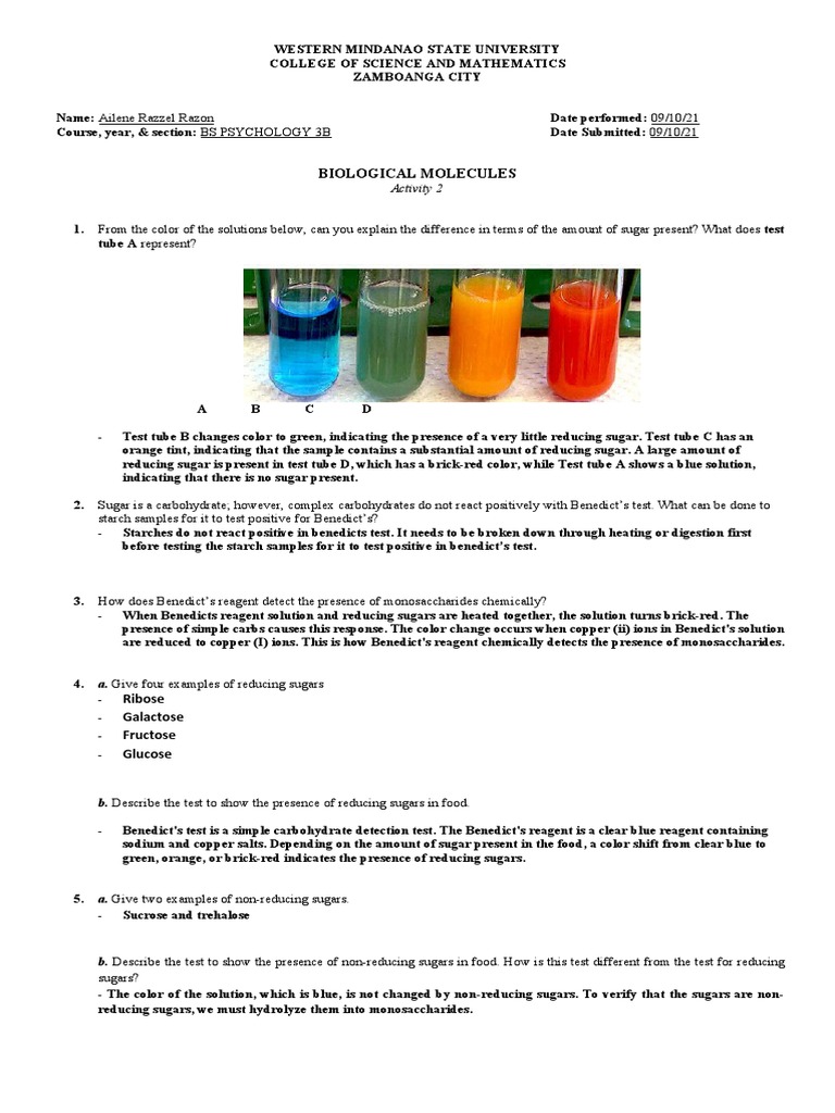 (Template) Activity 2 Worksheet - Biological Molecules | PDF ...