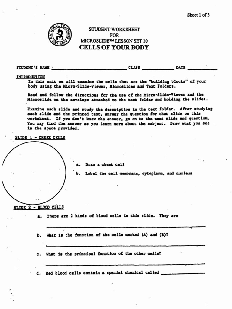 Microviewer Cells of Your Body | PDF