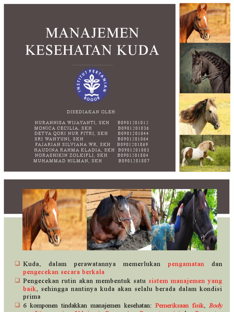 Manajemen Kesehatan Kuda - PPT | PDF