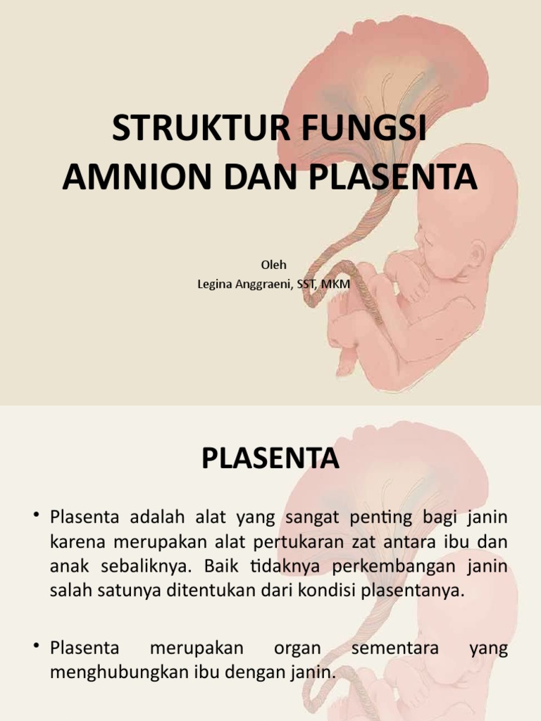 5 - Struktur Fungsi Amnion Dan Plasenta | PDF
