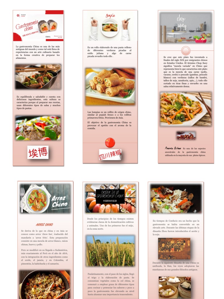 Folleto Comidas Exquisitas de China | PDF | Cocina china | Cocina española