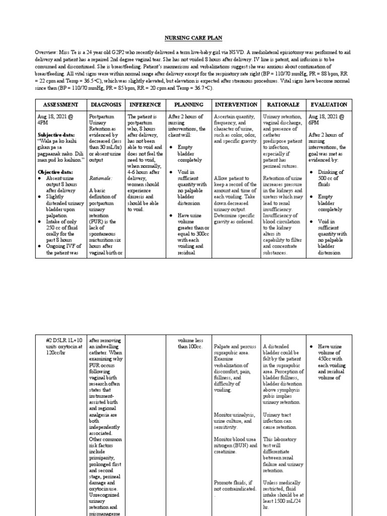 Nursing Care Plan: Rationale | PDF | Urination | Urinary Incontinence