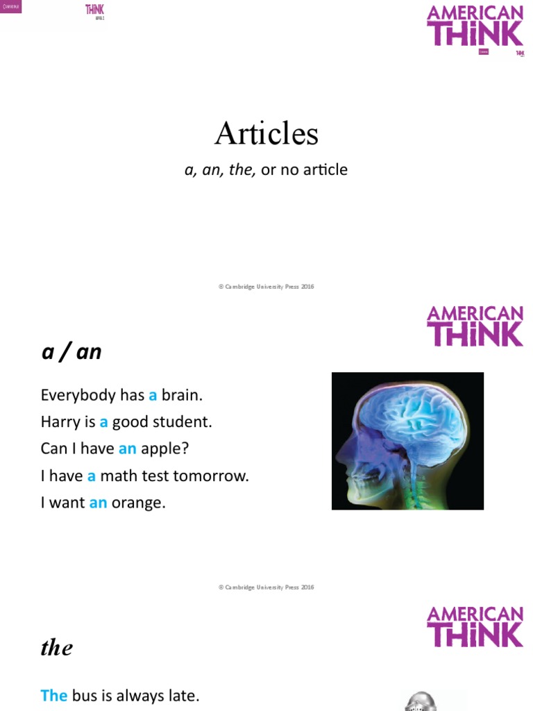 Grammar Presentation 3 Articles | PDF | Noun | Grammatical Number