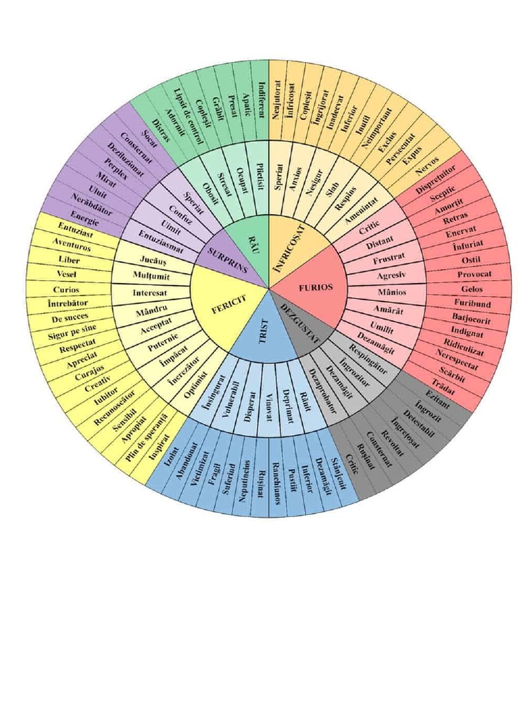 Roata Emotiilor | PDF