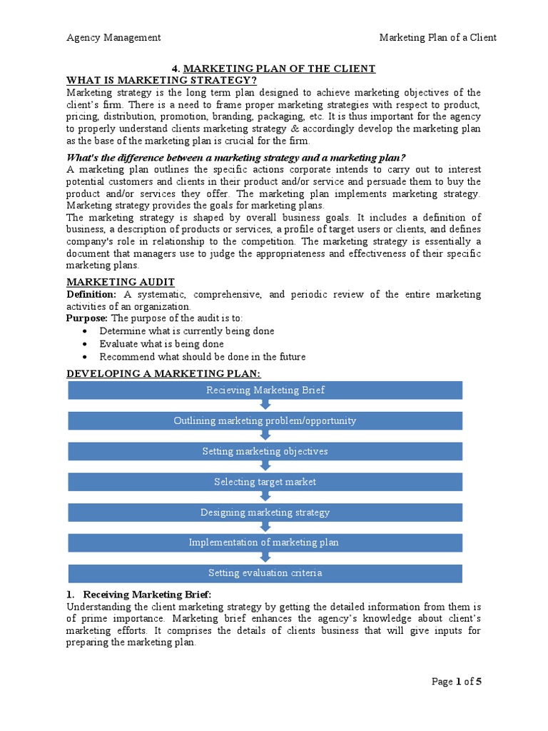 Marketing Plan of The Client | PDF | Market Segmentation | Marketing
