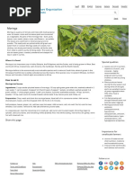 NSIC Seed Variety Catalogue 2023 | PDF | Rice | Organisms