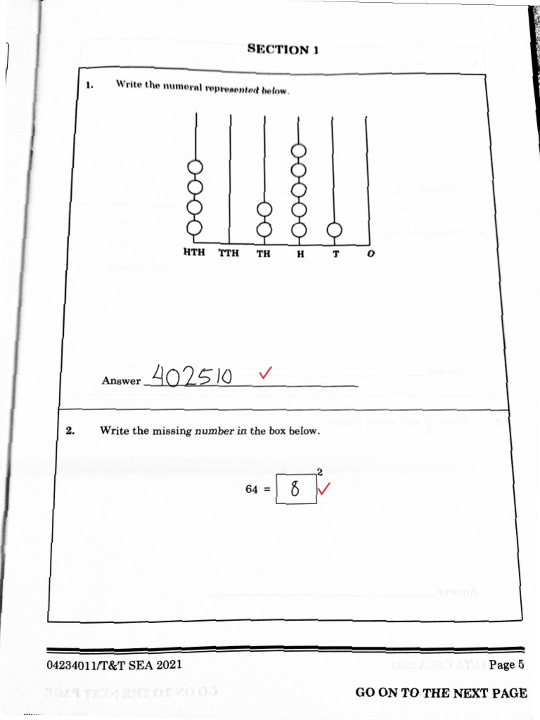 SEA 2021 Maths Complete | PDF