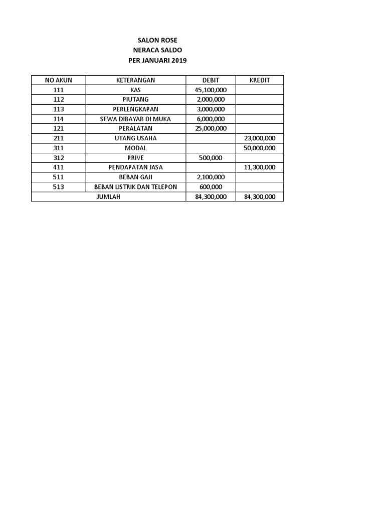 Neraca Saldo Salon Rose 2019 | PDF