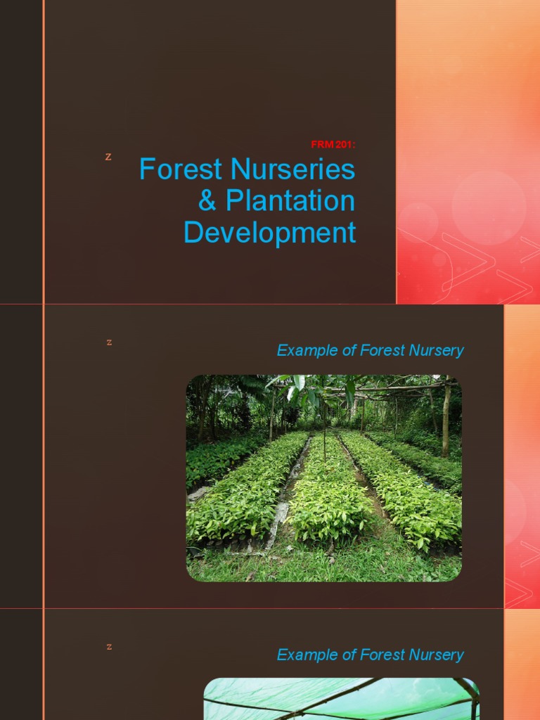 Forest Nursery Establishment Guide | PDF