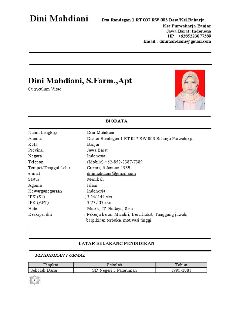 CV Dini Mahdiani Rsud Kota Banjar Oktober 2019 | PDF