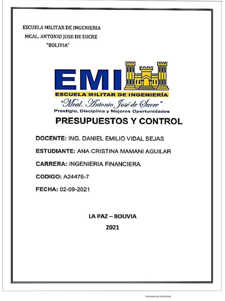 Ana Cristina Mamani A. | PDF