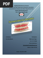 Nomenclatura Dentaria - El Código Internacional (FDI) | PDF | Diente | Ramas de Odontología