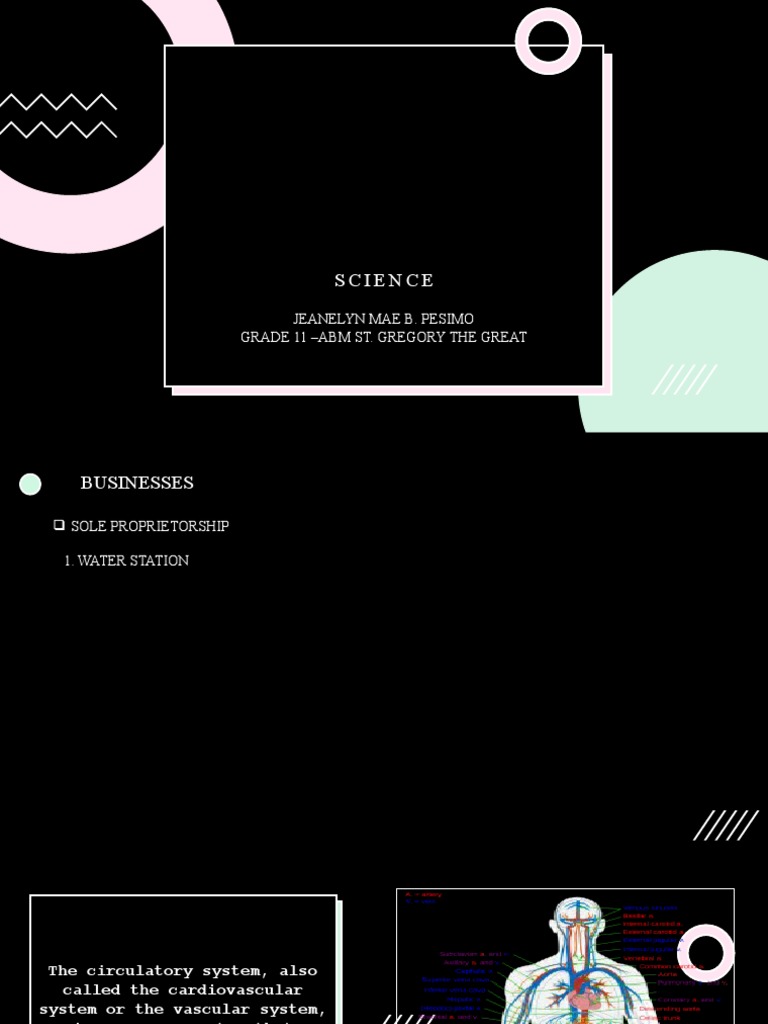 Science Performance Task | PDF | Circulatory System | Heart