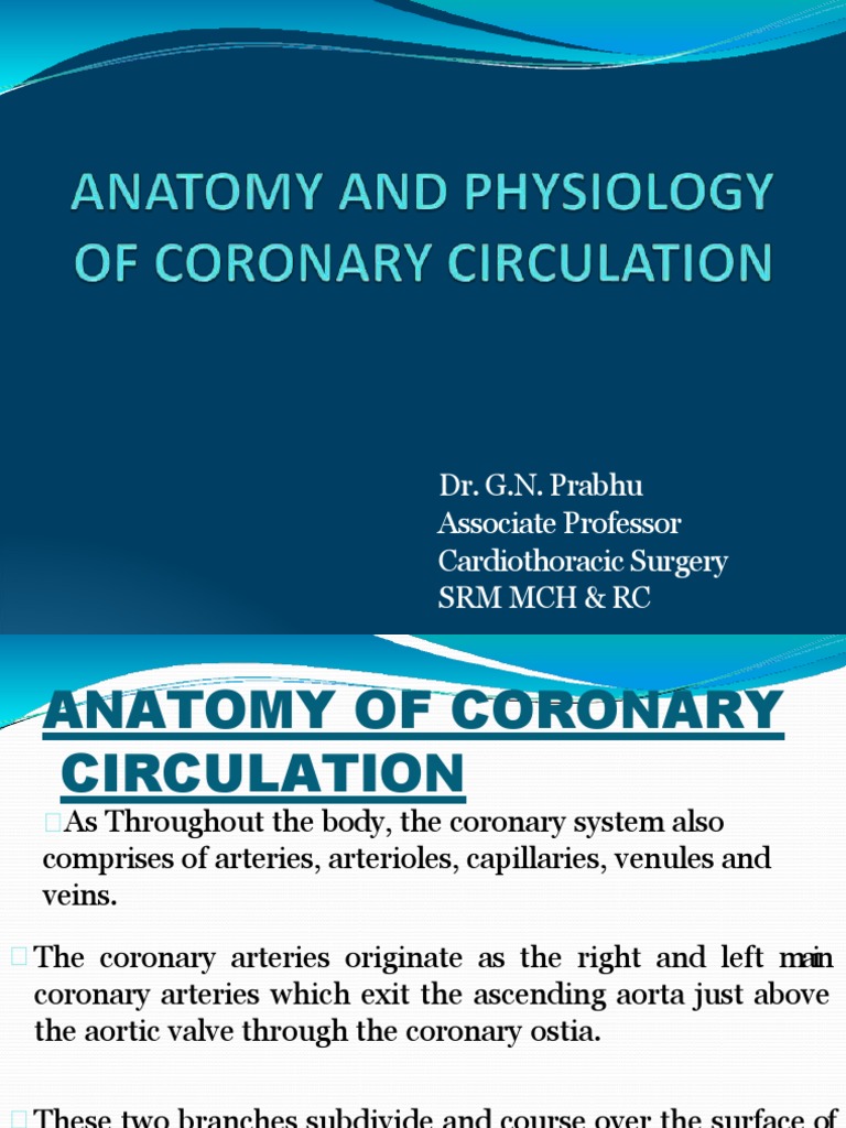 Anatomy of Coronary Circulation | PDF | Coronary Circulation | Heart