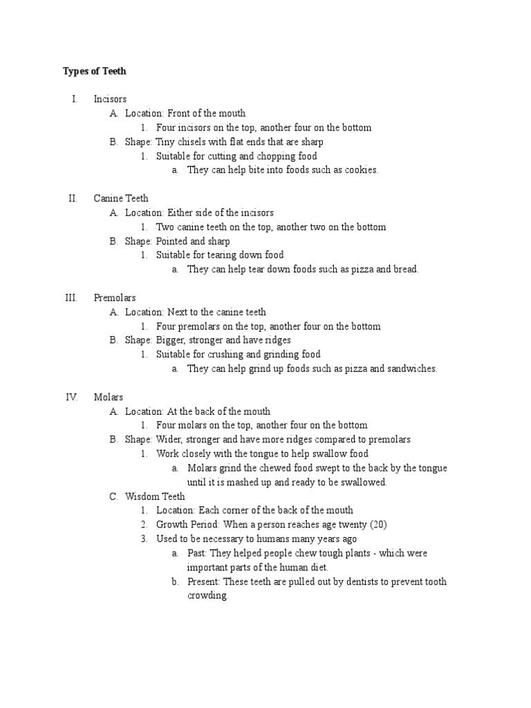 The Outline of Teeth | PDF