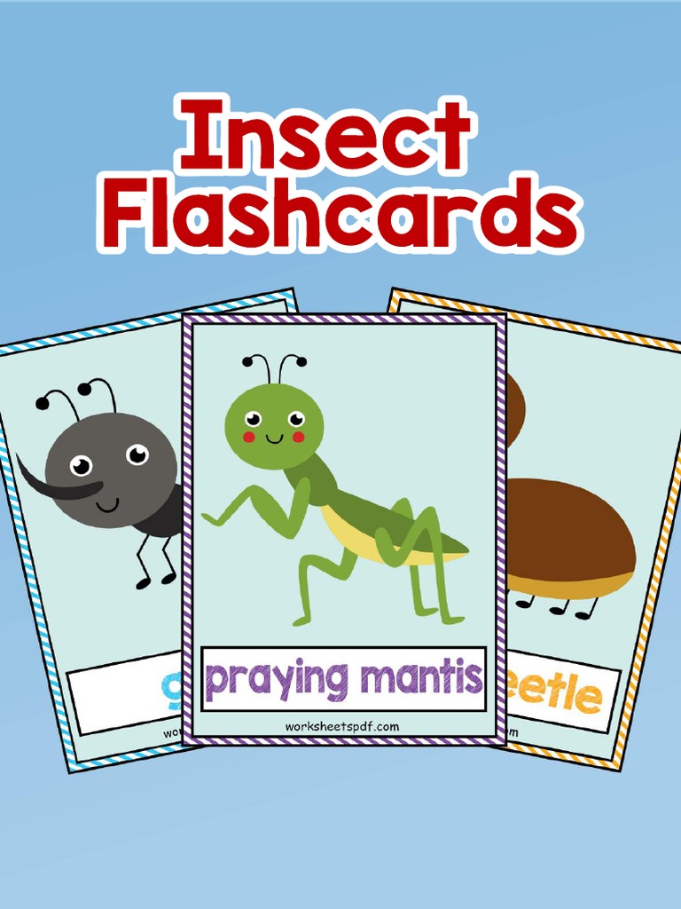 Insect Flashcards Compressed | PDF