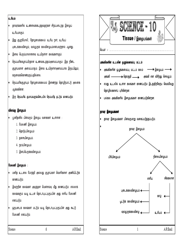 Grade 10 Tissue | PDF