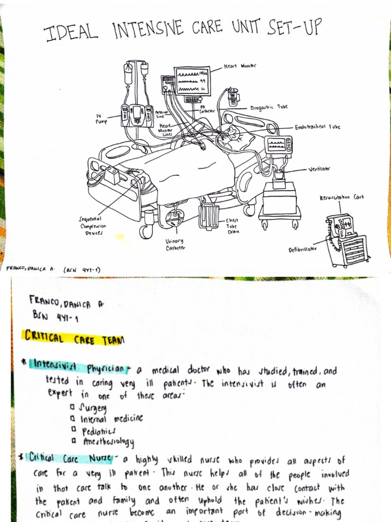 Icu Set-Up | PDF