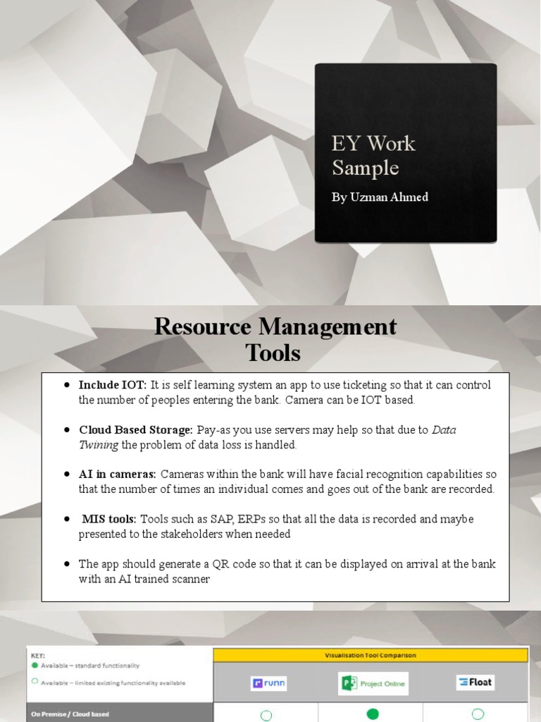 EY Work Sample | PDF | Computers