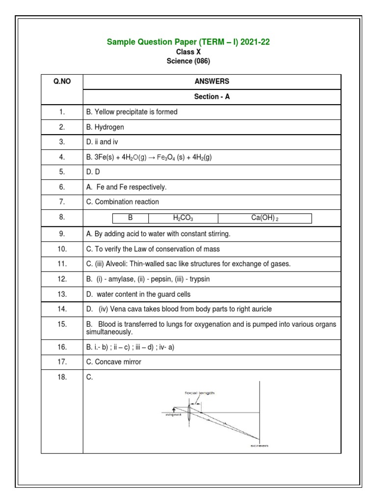 Sample Question Paper (TERM - I) 2021-22: Class X Science | PDF ...