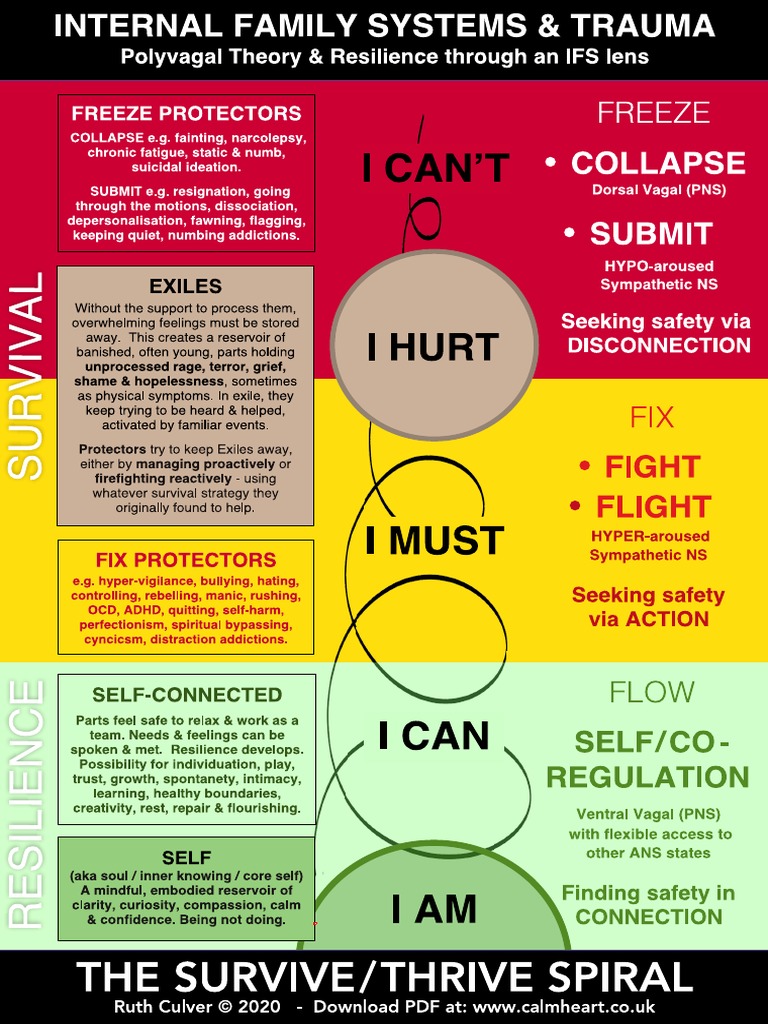 The Survive Thrive Spiral | PDF