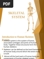 Skeletal System Unit Test | PDF | Bone | Skeleton