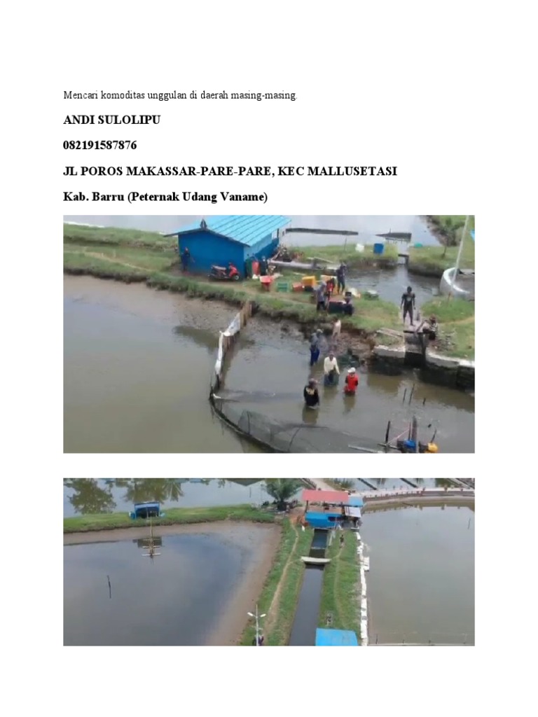 Kab. Barru (Mencari Komoditas Unggulan Di Daerah Masing-Masing) | PDF