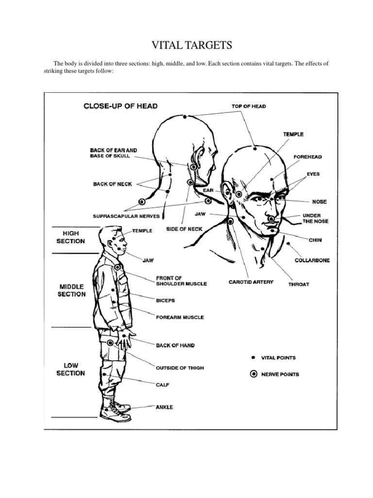 Vital Targets | Download Free PDF | Arm | Neck