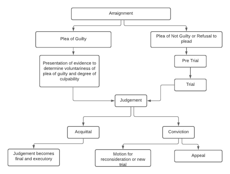 Criminal Procedure Diagram | PDF